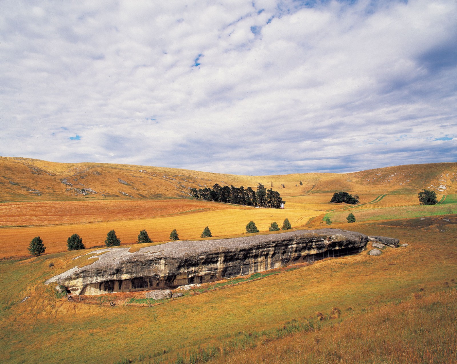 Set in stone | New Zealand Geographic