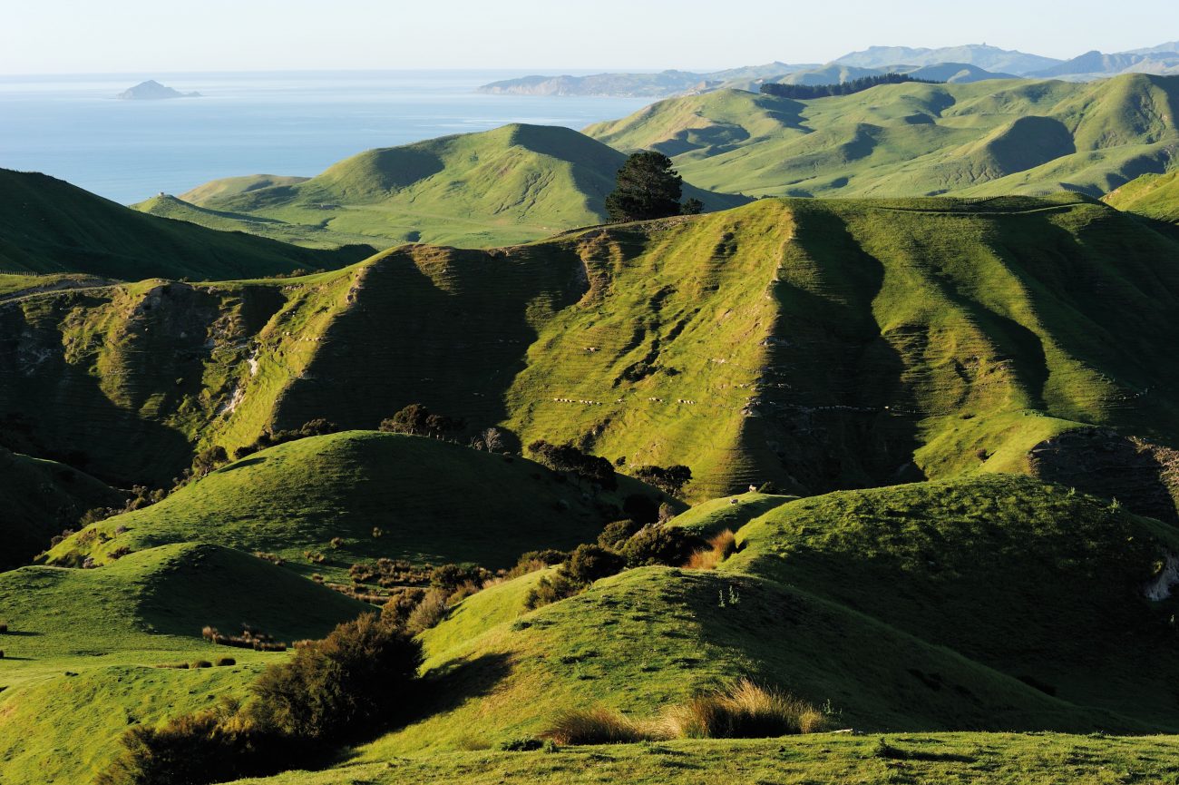 The Cape Challenge | New Zealand Geographic