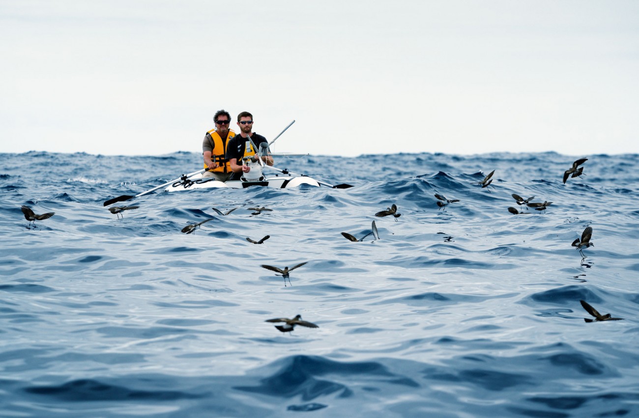 Lost & Found | New Zealand Geographic