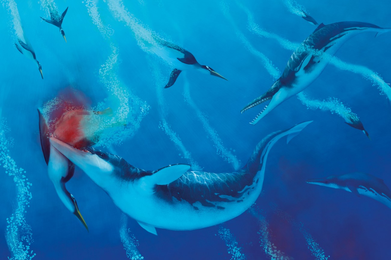 The Weekender // Adopt an ancient species today