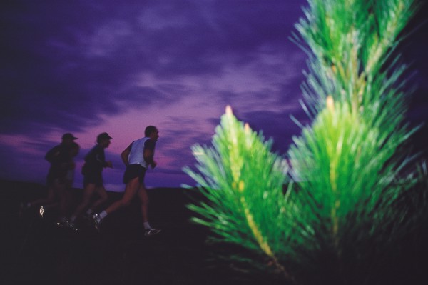 Riverhead: An urban forest | New Zealand Geographic