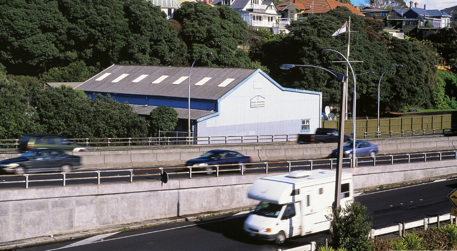 Around the rugged rocks the ragged rascals ran | New Zealand Geographic