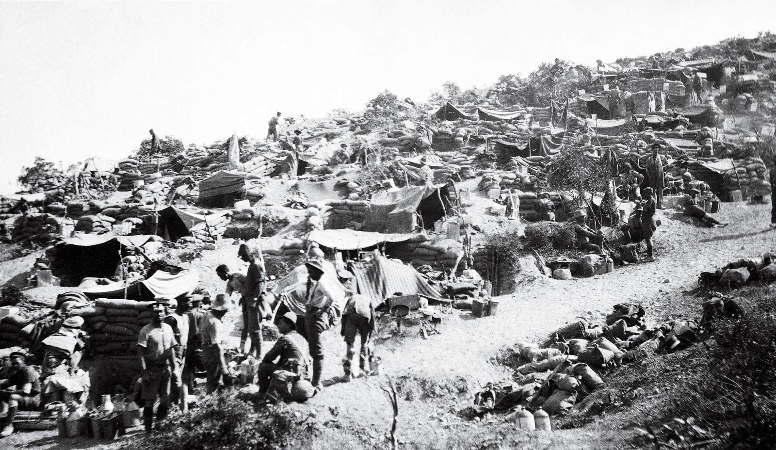 Gallipoli—a hill too far | New Zealand Geographic