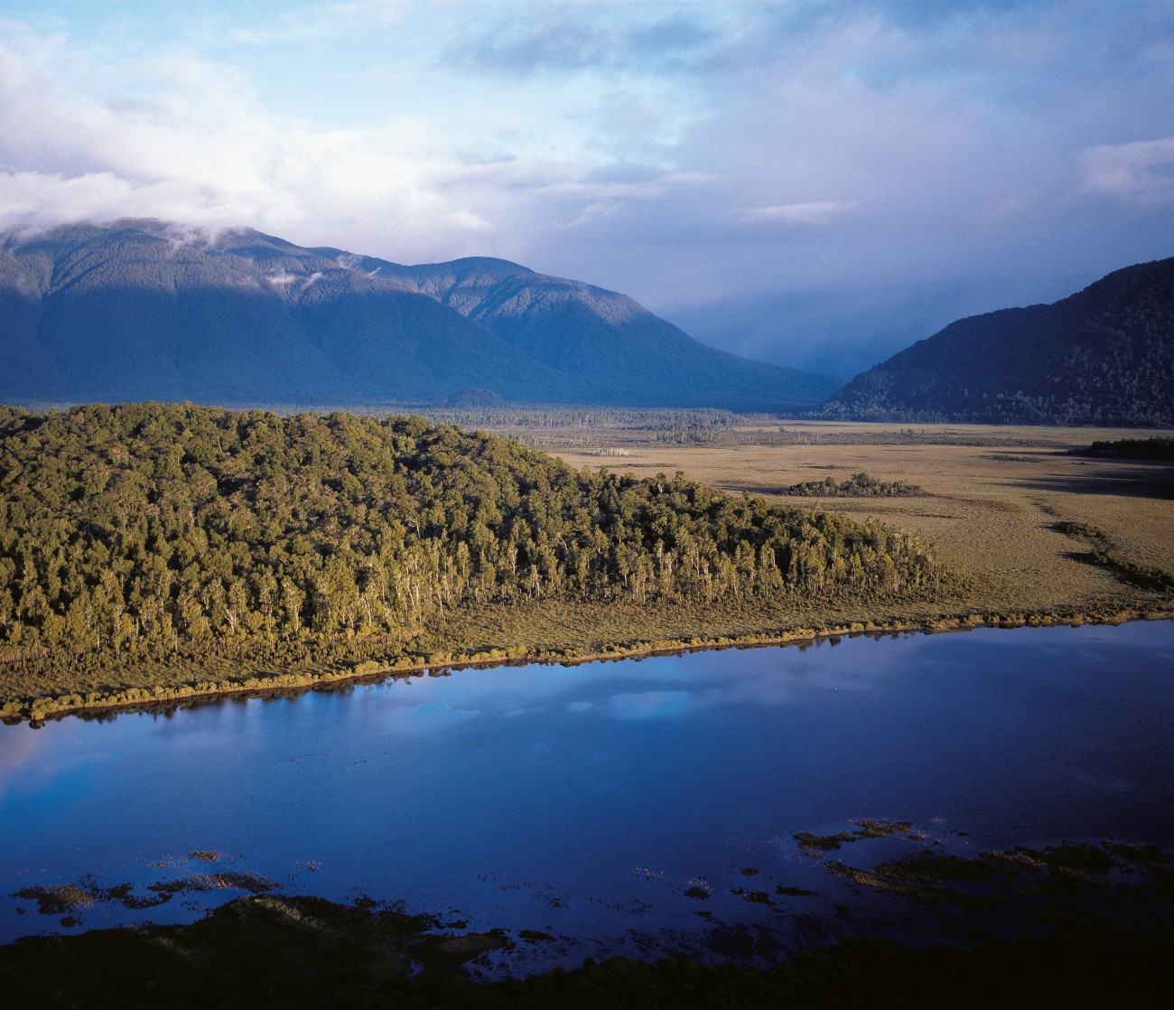 Spring in Haast | New Zealand Geographic