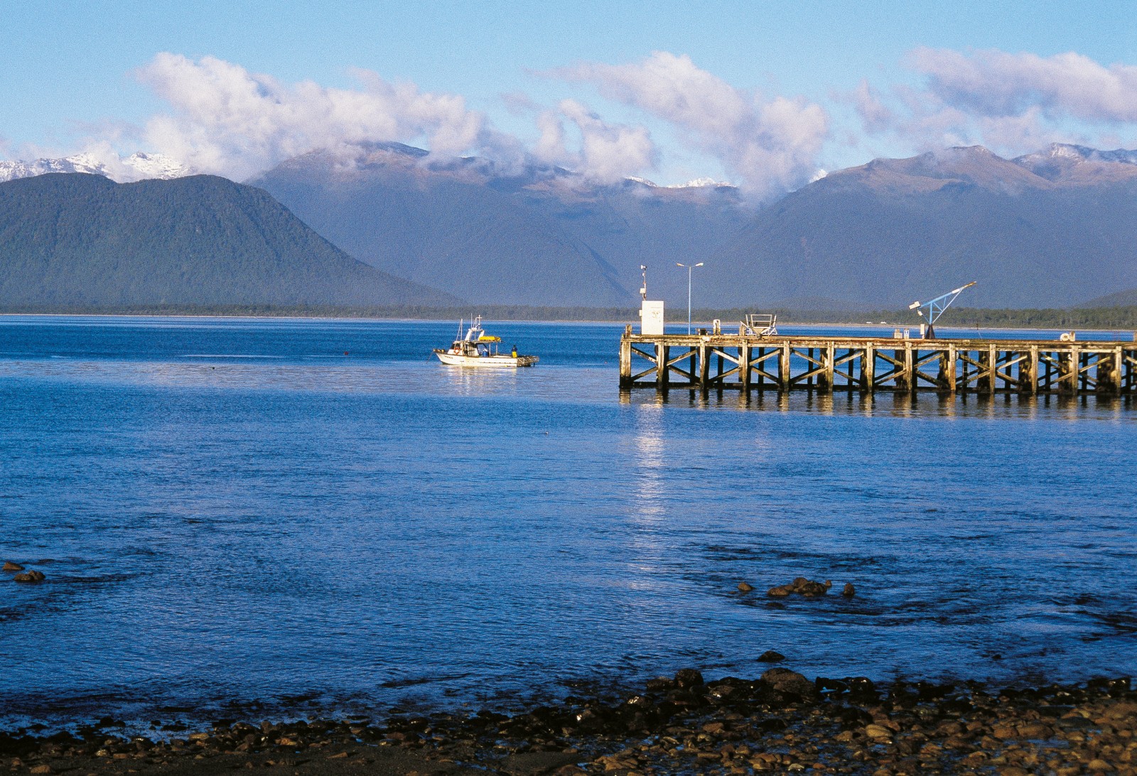 Spring in Haast | New Zealand Geographic