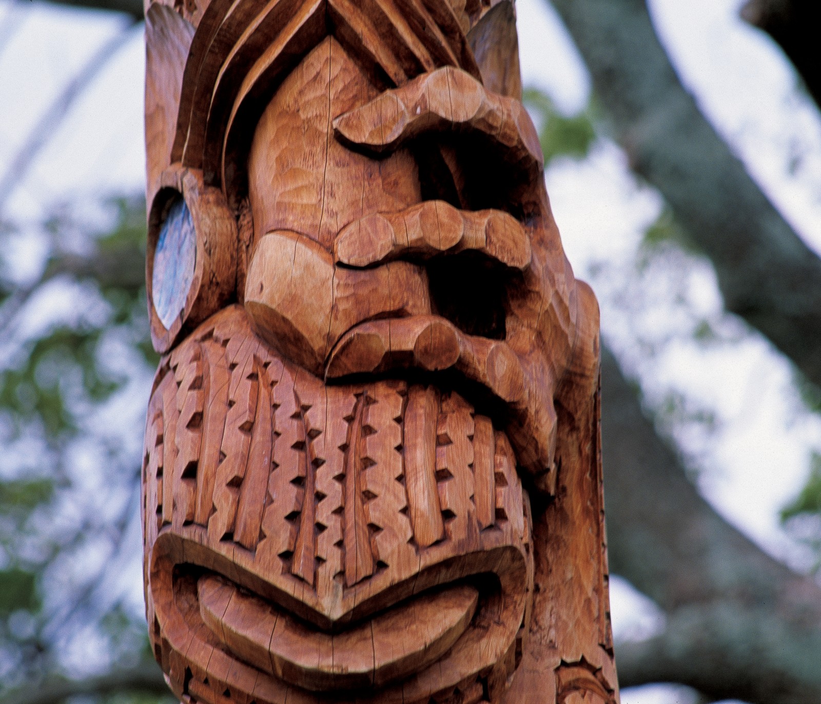 Maori tourism | New Zealand Geographic
