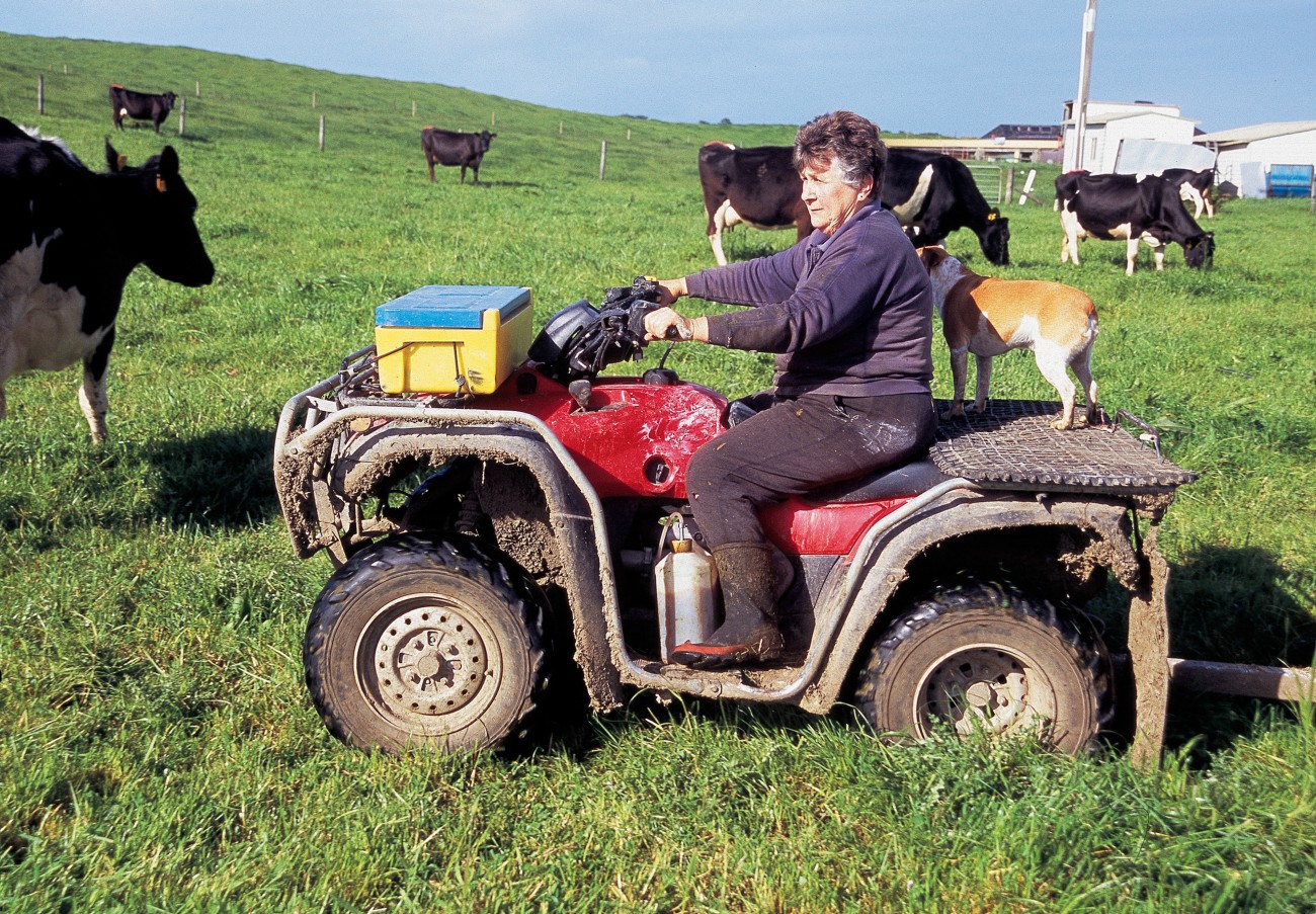 Gumboots | New Zealand Geographic