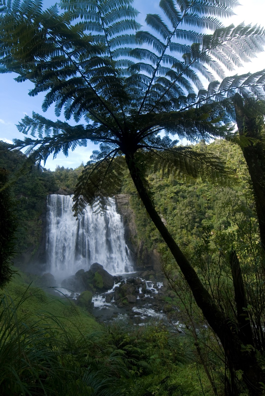 King Country | New Zealand Geographic