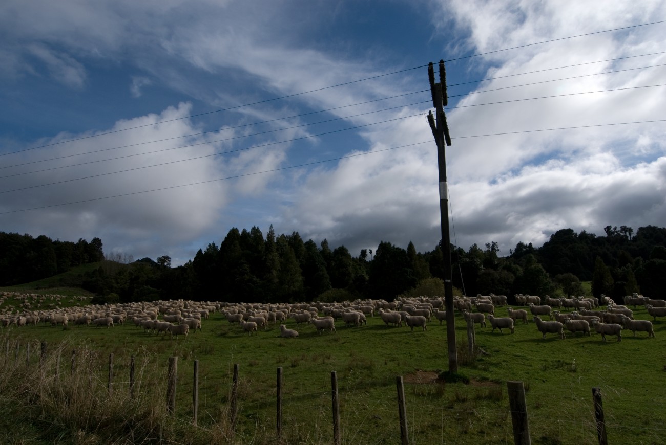 King Country | New Zealand Geographic