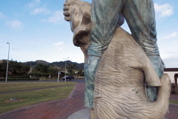 King Country | New Zealand Geographic
