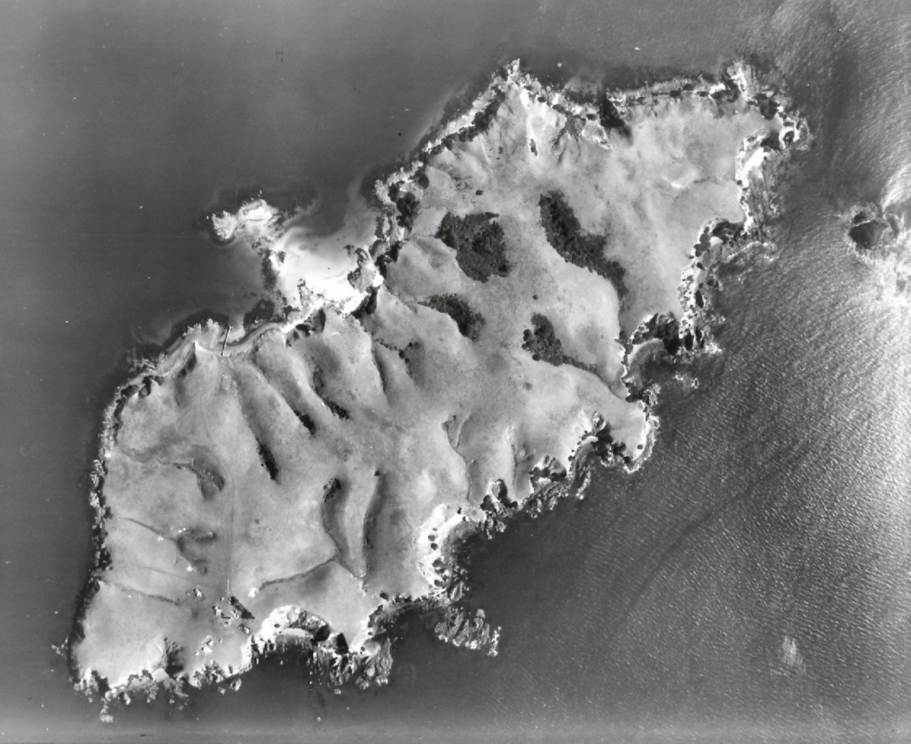 Bird Island | New Zealand Geographic