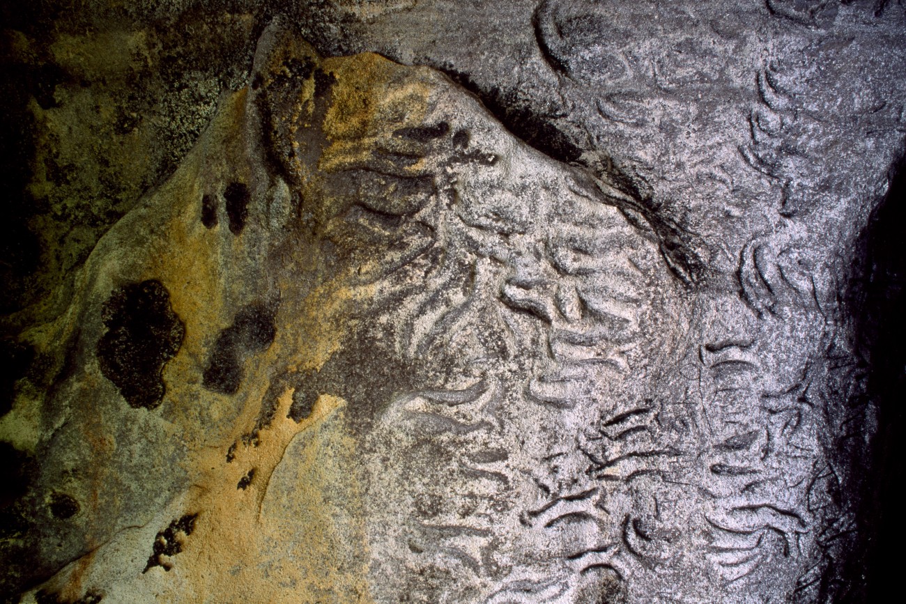 Moriori, a pride reborn | New Zealand Geographic