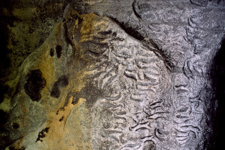 Moriori, a pride reborn | New Zealand Geographic