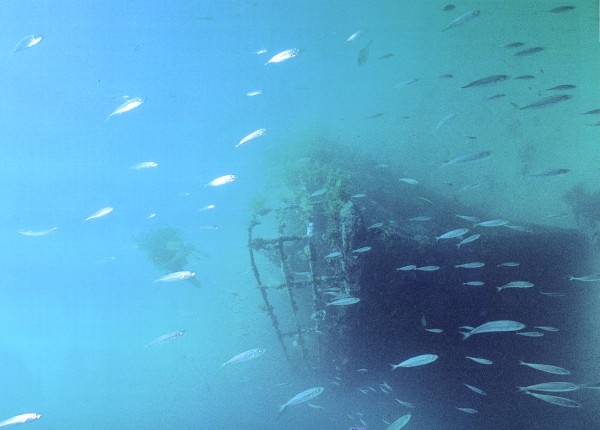Wreck to reef-the transfiguration of the Rainbow Warrior | New Zealand ...