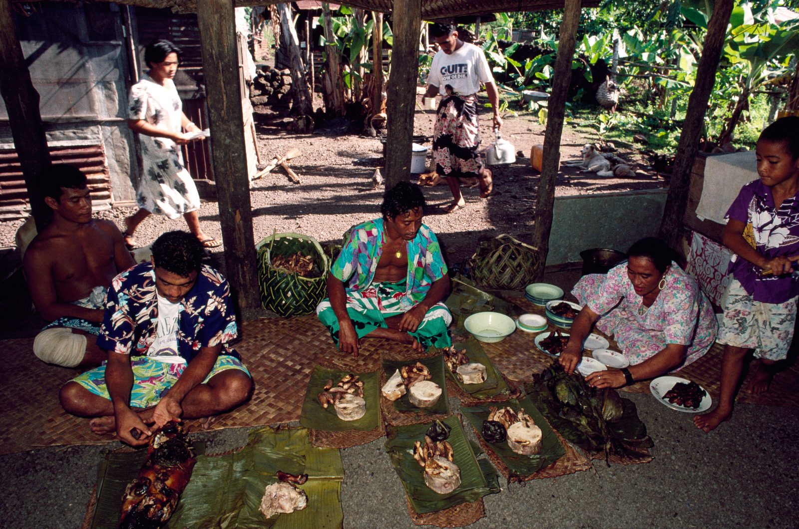 Postcard from Samoa | New Zealand Geographic