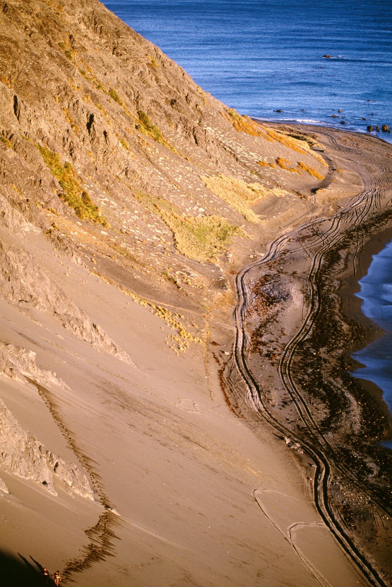 Dire strait | New Zealand Geographic