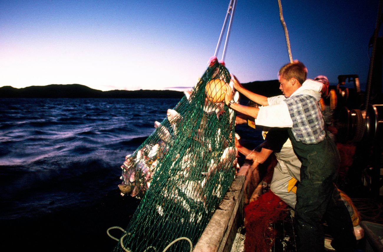 The fortunes of fishing | New Zealand Geographic