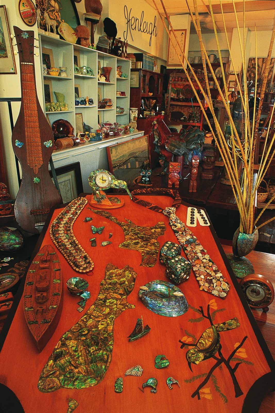 Passionate about paua | New Zealand Geographic