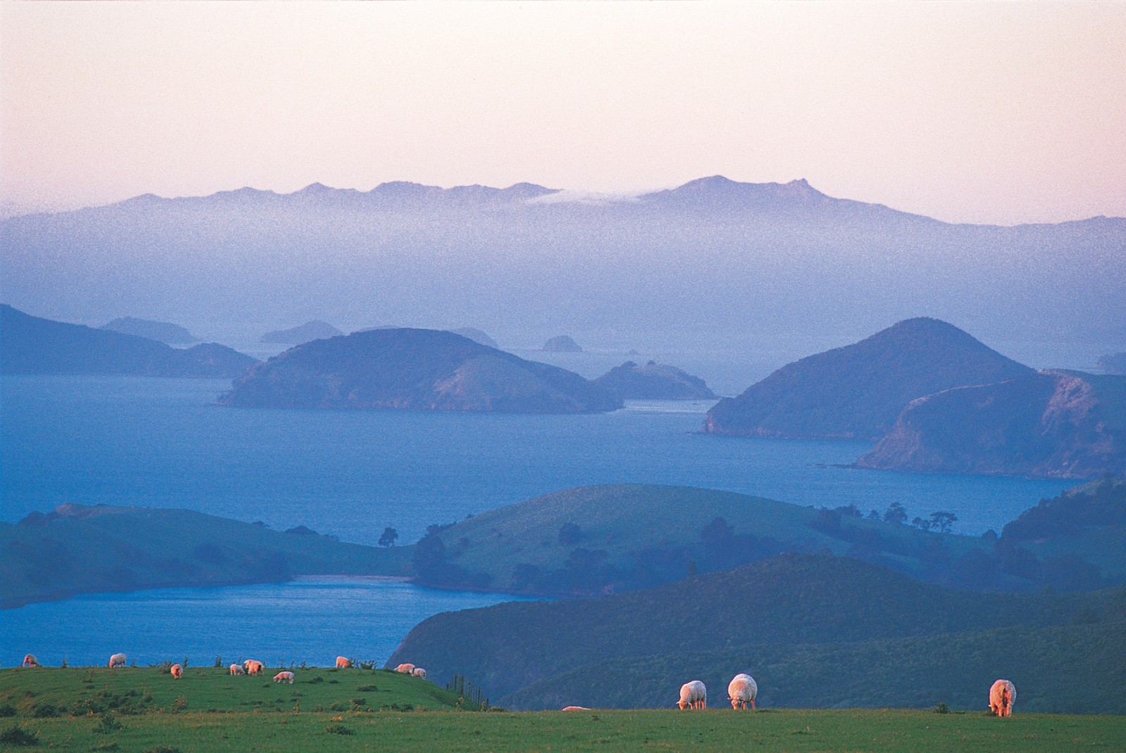 Summer on the Coromandel | New Zealand Geographic