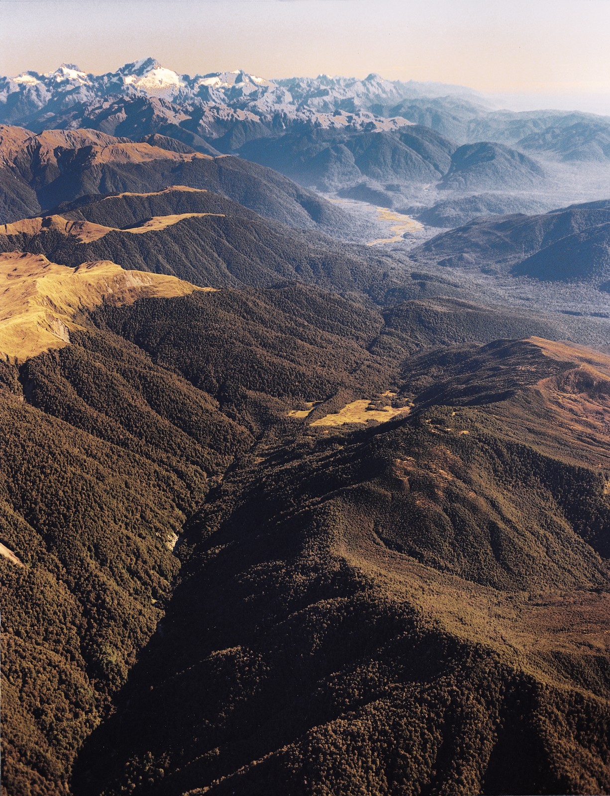 Harold Wellman and the Alpine Fault | New Zealand Geographic