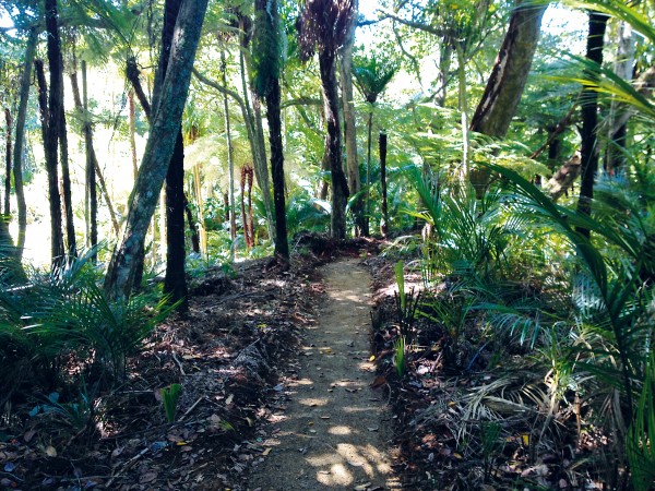 The long pathway | New Zealand Geographic