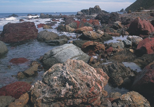 Rocks suggest surprise origin | New Zealand Geographic