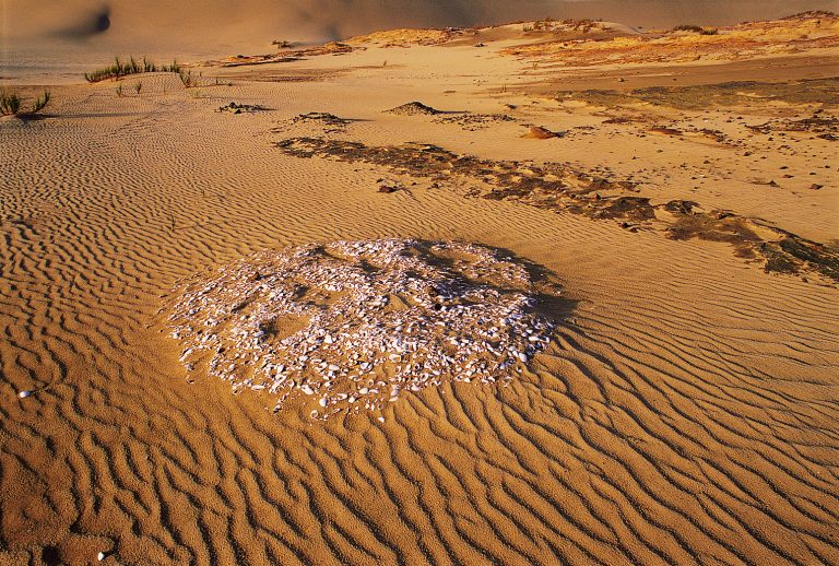 Dunes: the waterless sea | New Zealand Geographic