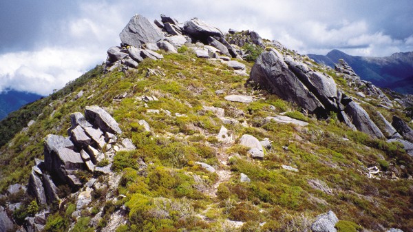 From Ur with love | New Zealand Geographic