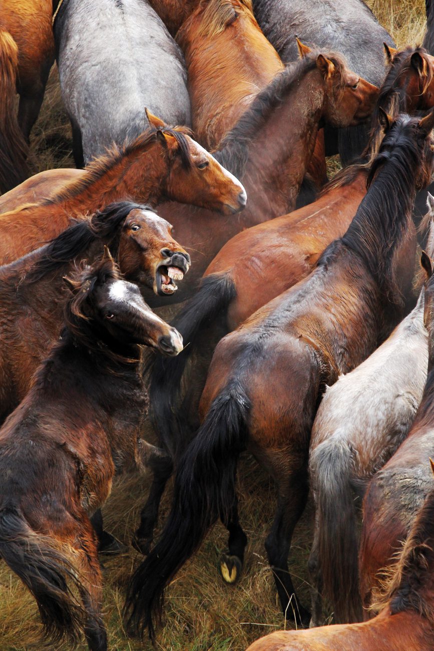 Photographer of the Year 2012 | New Zealand Geographic