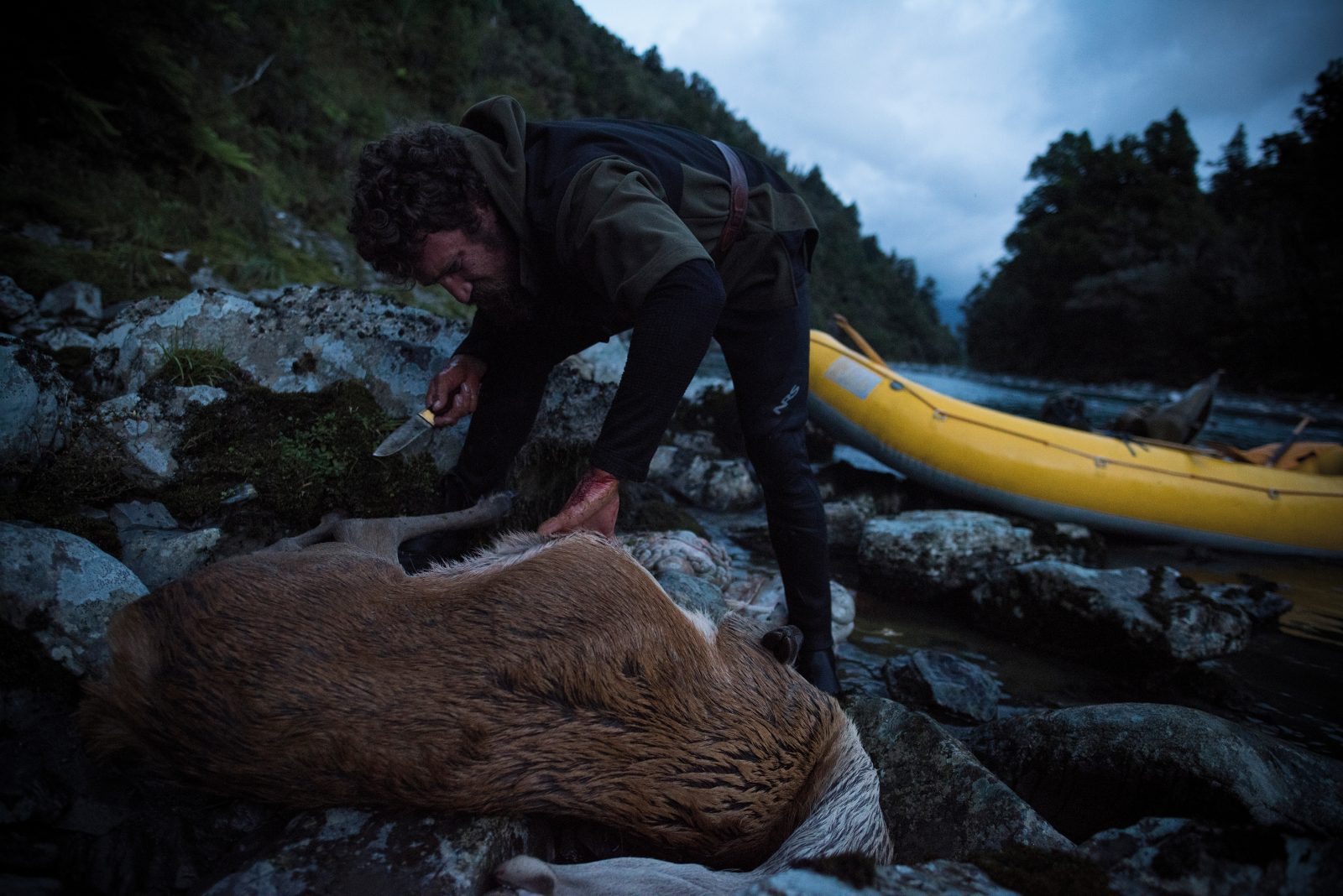 The Kiwi Bushman | New Zealand Geographic