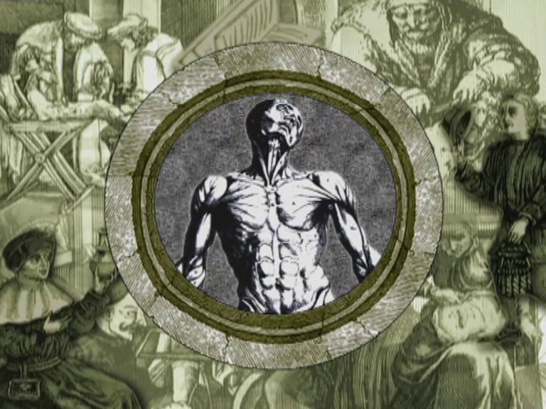 miracle Archives | New Zealand Geographic