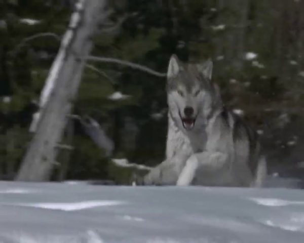 The Most Extreme | Series | New Zealand Geographic