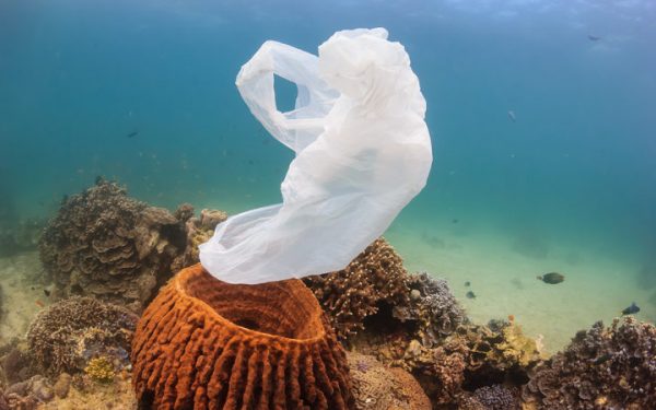 Plastic in our waterways: 'Is it from people littering?' | New Zealand ...
