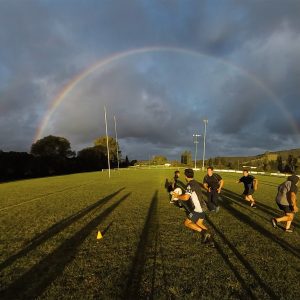 Join the shearing gang | New Zealand Geographic