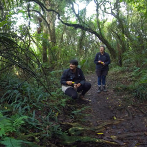 Join the shearing gang | New Zealand Geographic