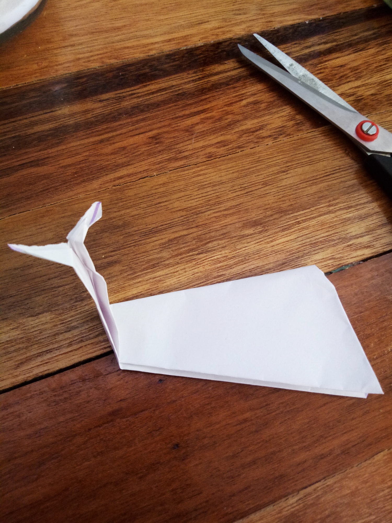 Wed 8: Humpback whales | New Zealand Geographic