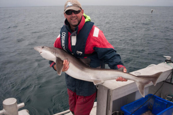 Expert Feature: Sharks | New Zealand Geographic