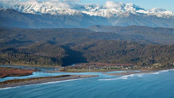 Gorsebusters ready to go gangbusters! | New Zealand Geographic