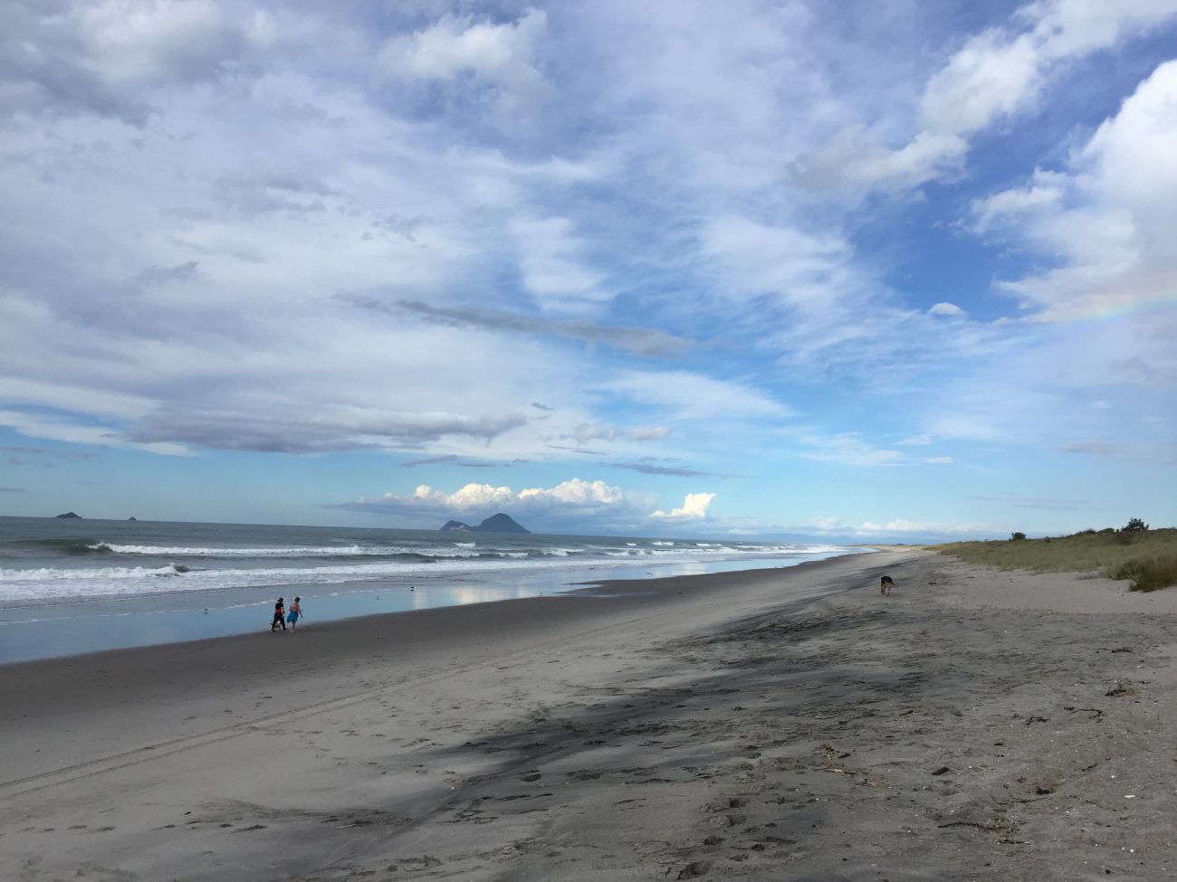 Just two households remain at Matatā, with one refusing to leave | New ...