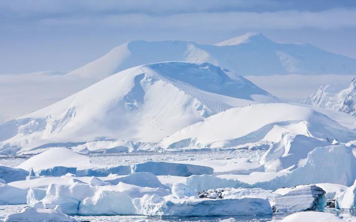 Call for tougher measures to stop invasive species posing threat to ...