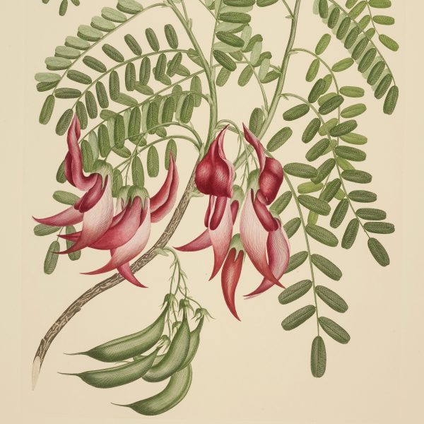 Archive | New Zealand Geographic