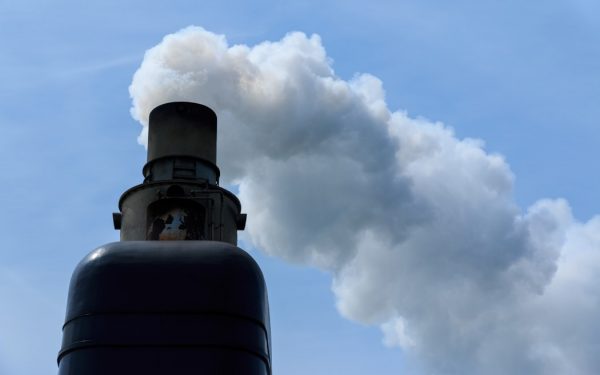 Rotorua businesses offered $2000 package to help be more sustainable ...