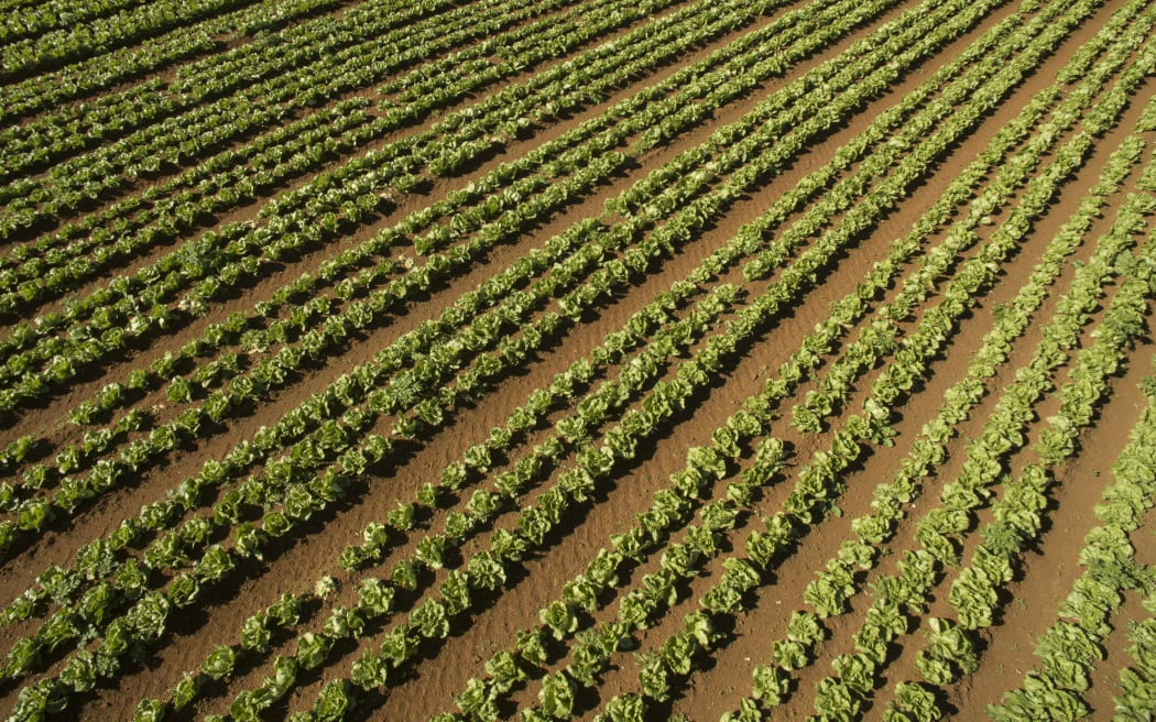 The fragile magic of highly productive land | New Zealand Geographic