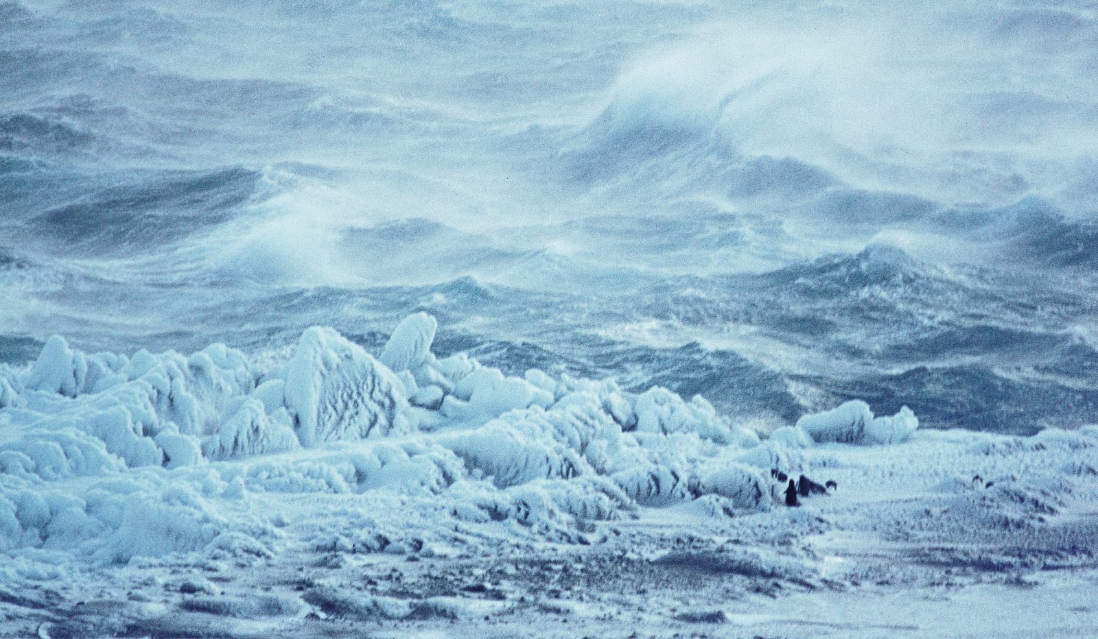 New Zealand Geographic