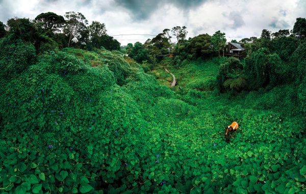 Archive | New Zealand Geographic