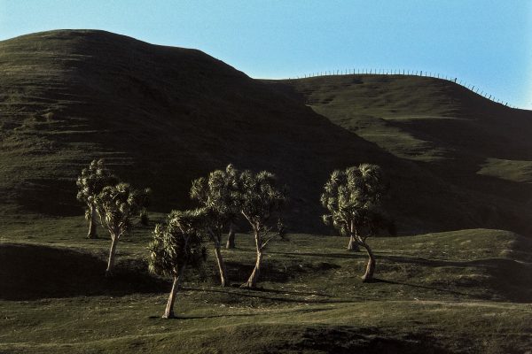 "That's a Robin Morrison shot" | New Zealand Geographic