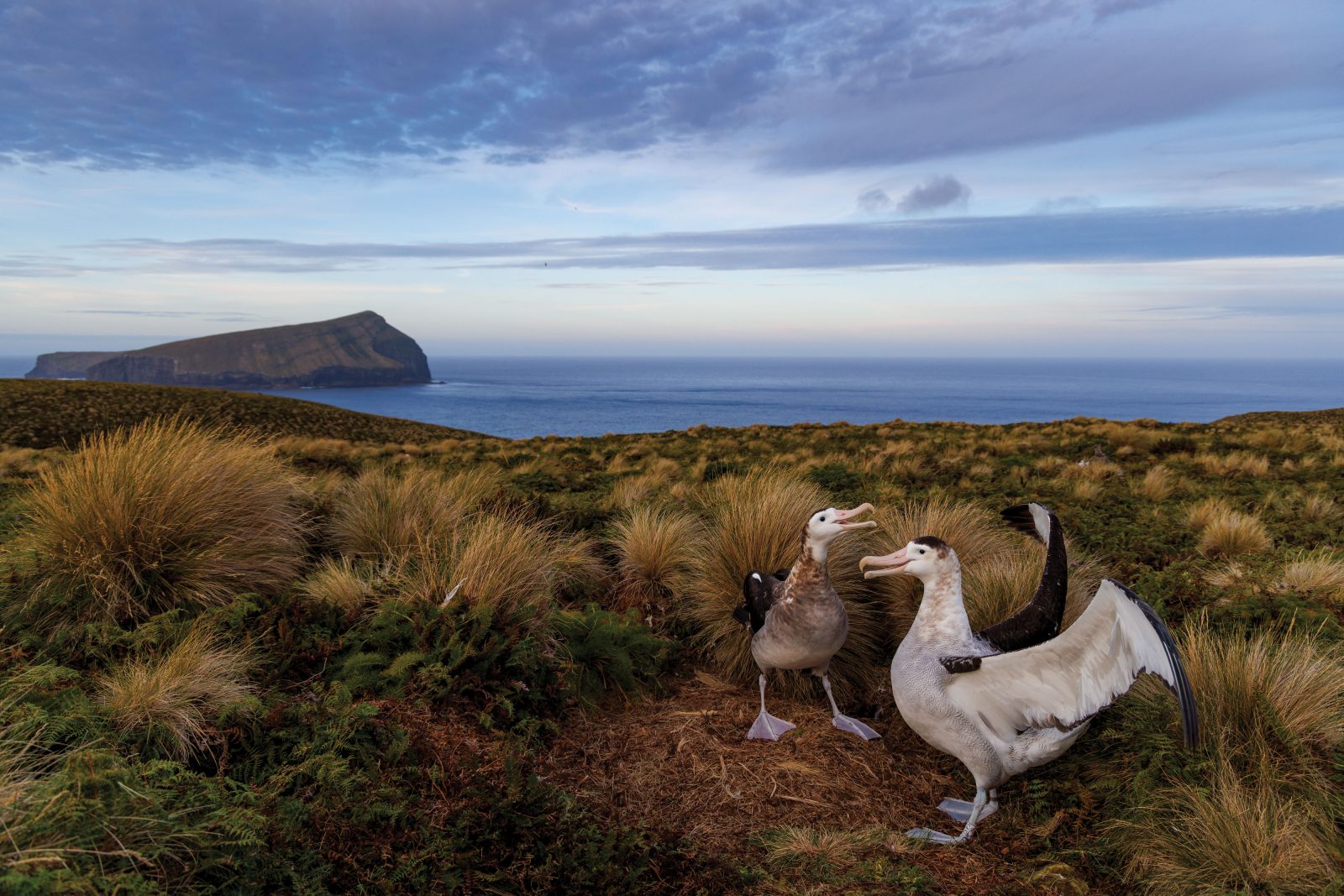 Summer 33 | New Zealand Geographic