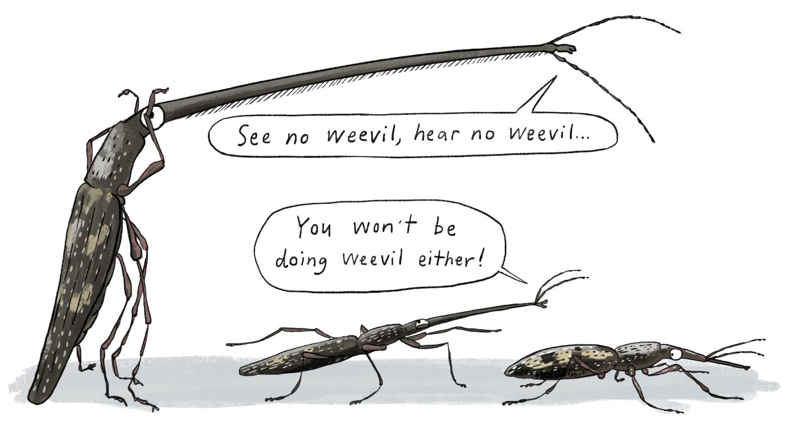 Weaponised | New Zealand Geographic