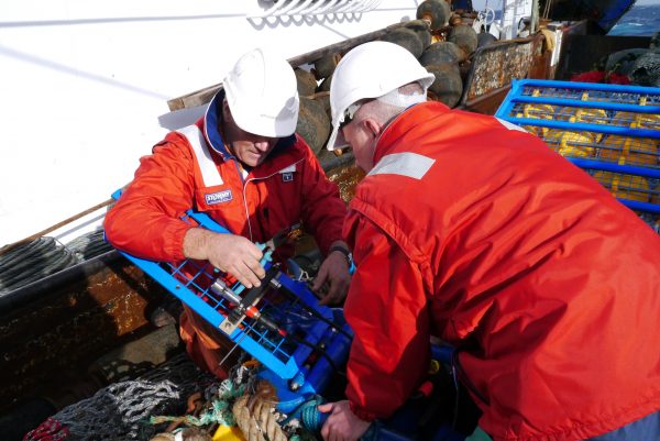 Orange roughy on the line | New Zealand Geographic