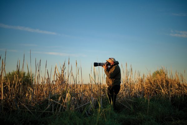 The grief bird | New Zealand Geographic